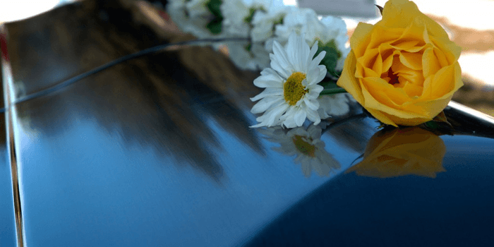Planning Ahead: Navigating Funeral Expenses with Funeral Loans | Driva