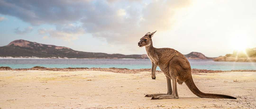 The Top 10 Australian Holiday Destinations You Should Visit | Driva